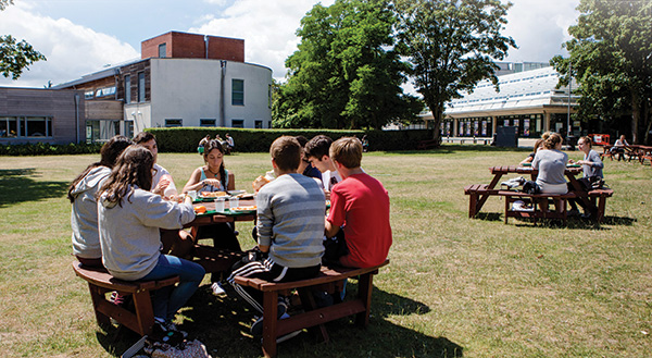 About MLI | MLI Group